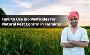 How to Use Bio Pesticides for Natural Pest Control in Farming - Shree ...